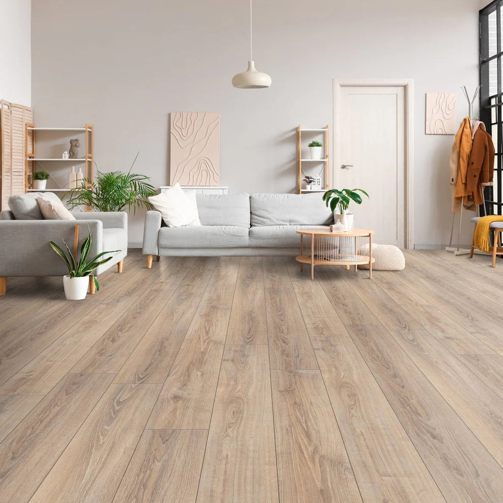 Whitewashed Oak - Exquisite 8mm Laminate Flooring – YS Tiles & Bathroom ...